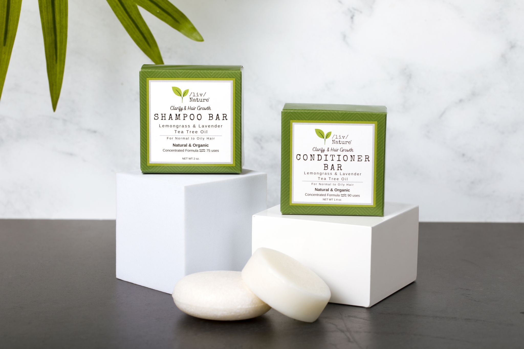 Hair Care - Eco Friendly Shampoo Bars – /liv/ Nature